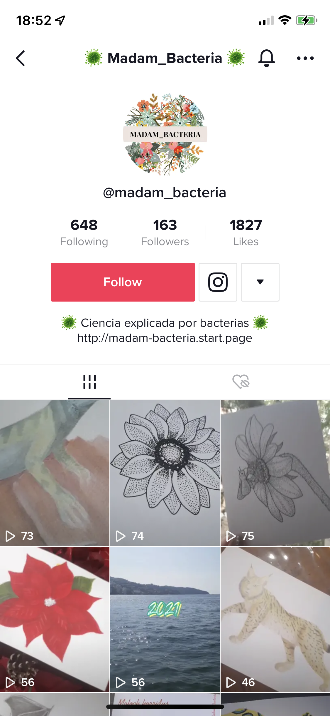 How To Put A Link In Your TikTok Bio