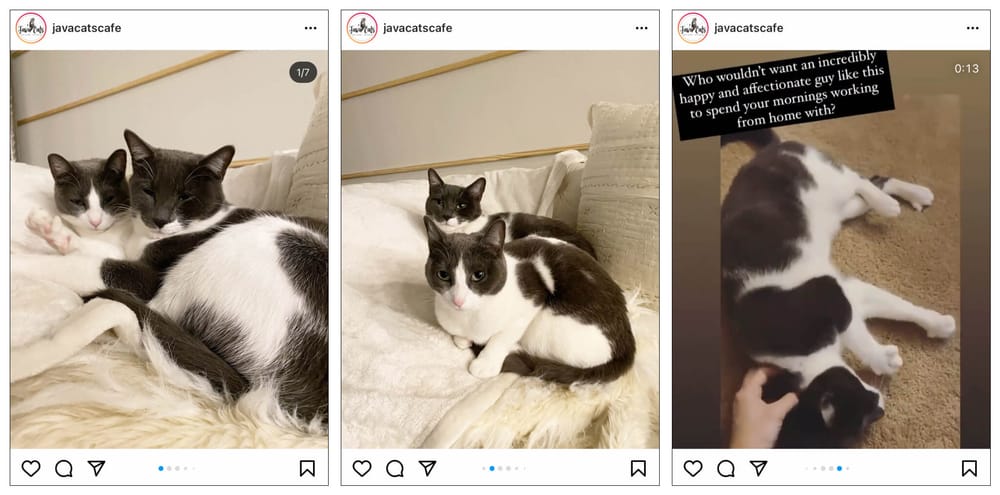 Why You Should Use Instagram Carousels + 10 Ideas to Get You Started