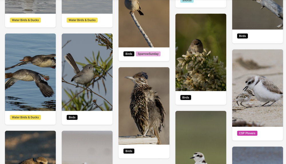 11 Ways the Buffer Team and Community are Using Tags