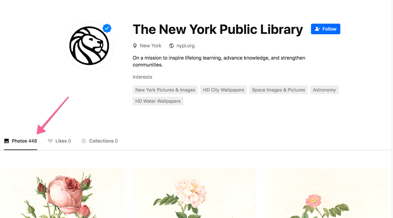 A Brand's Guide to Unsplash: How to Unlock the Next Big Visual ...