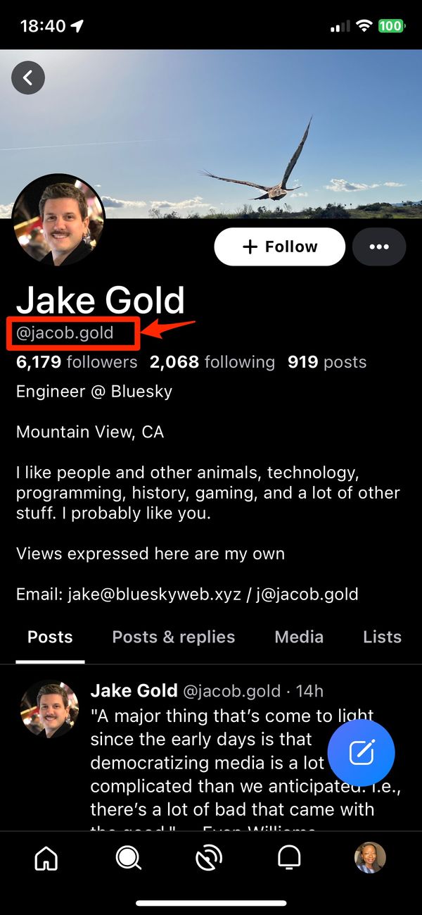 What Is Bluesky? Here's What You Should Know