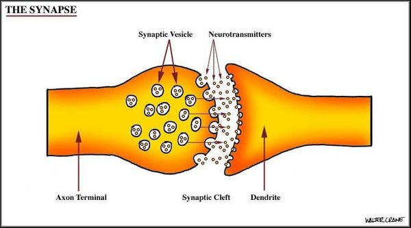 How To Rewire Your Brain for Positivity and Happiness