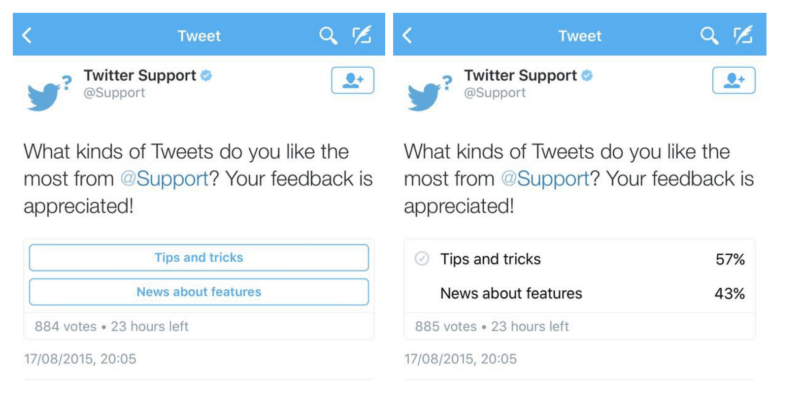 The Complete Guide to Twitter Polls