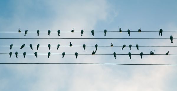 What Do the New Twitter Rules Mean to Social Media Managers (and Buffer ...